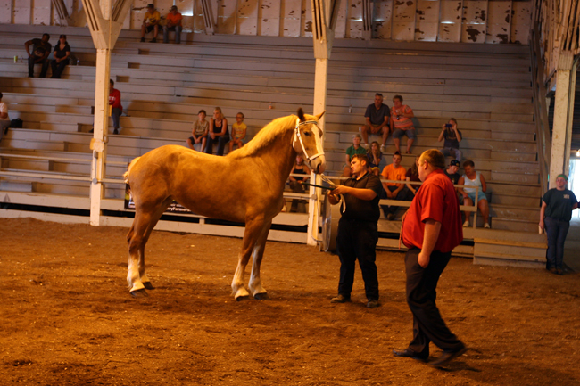 2013_cuyfair_d2 340.jpg | Cuyahoga County Fair