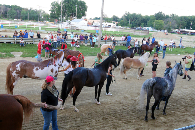 2013_cuyfair_d2 671.jpg | Cuyahoga County Fair